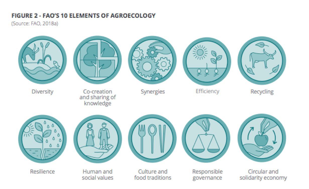 Our vision and values – Granville Community Kitchen